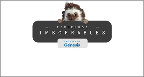 Seguros Génesis - Génesis Seguros